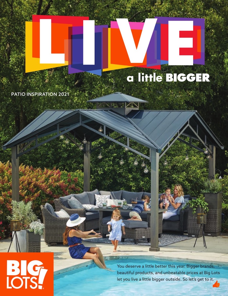 Big Lots Ad Mar 18 - Aug 15, 2021 | WeeklyAds2