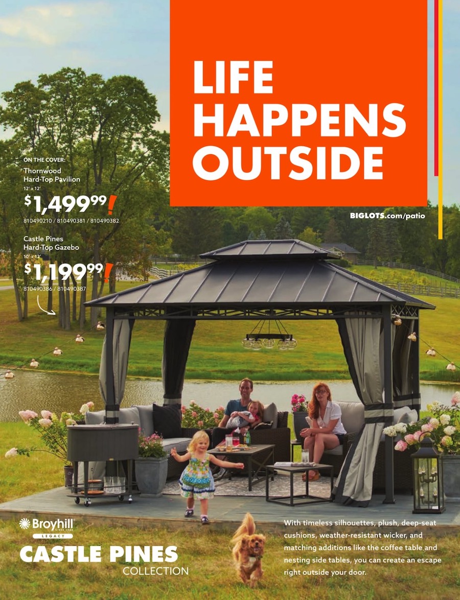 Big Lots Ad Mar 18 - Aug 15, 2021 | WeeklyAds2